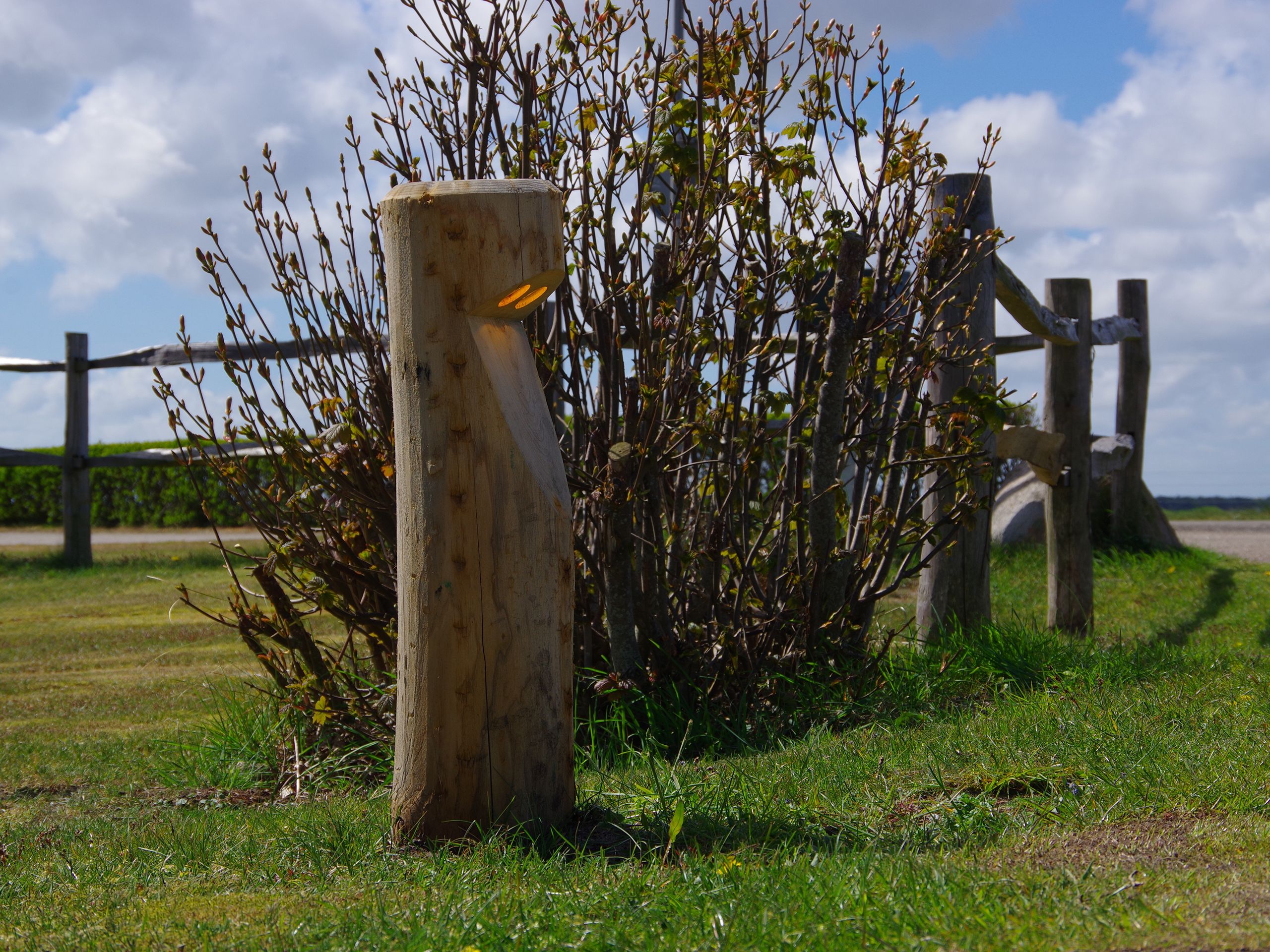 BOSCO LED chestnut bollard light By Timberlab