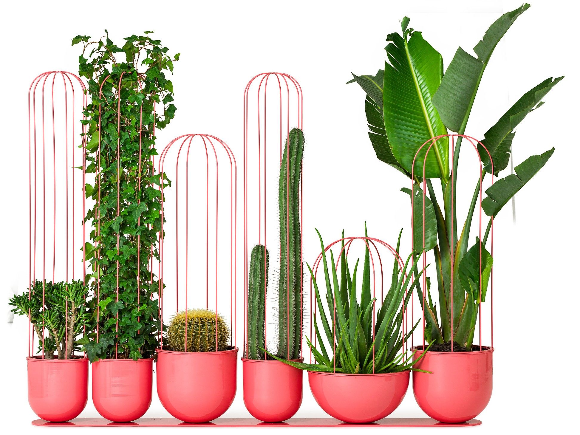 CACTI | Plant pot By Nola Industrier design Anki Gneib