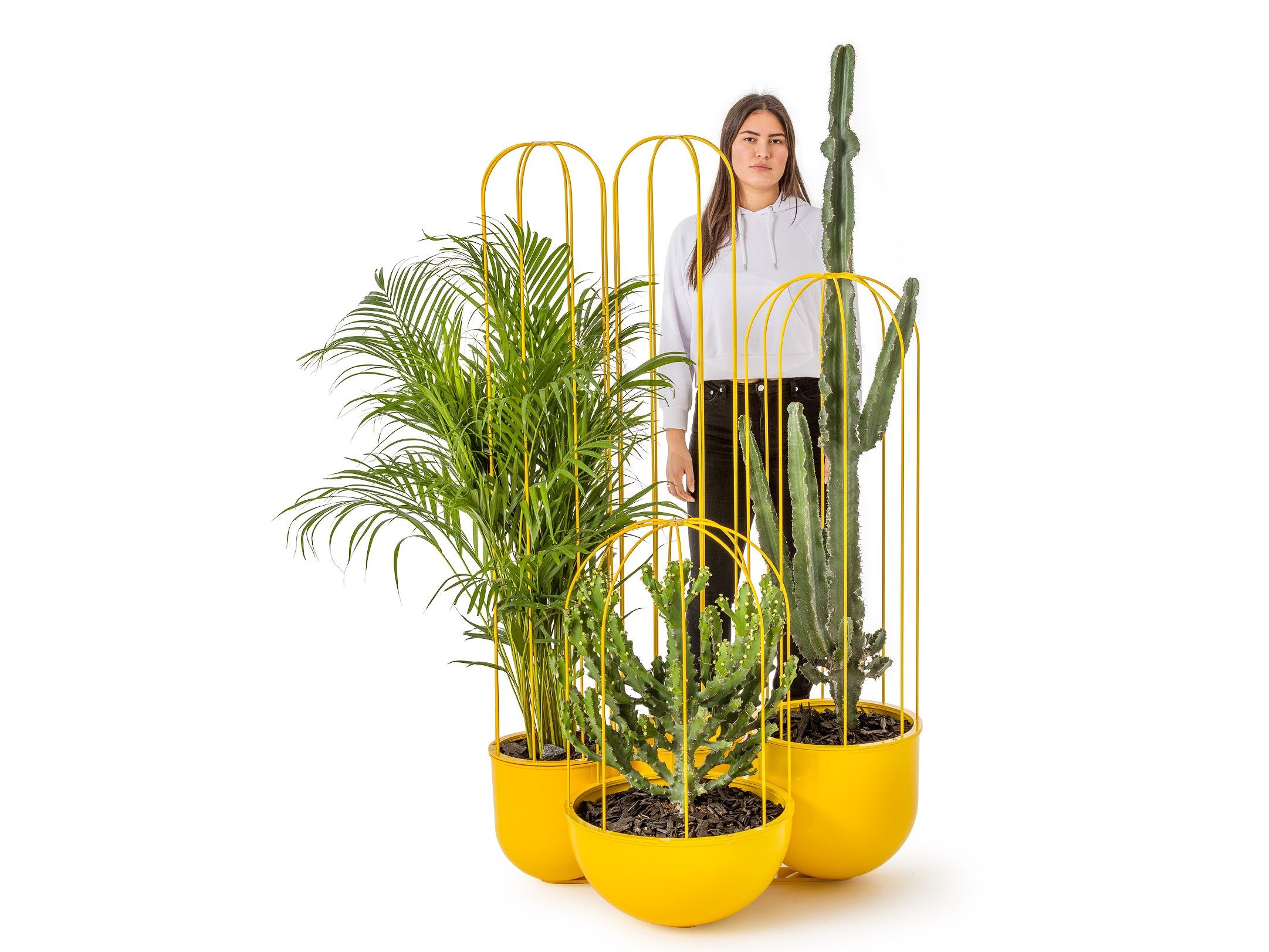 CACTI | Plant pot By Nola Industrier design Anki Gneib