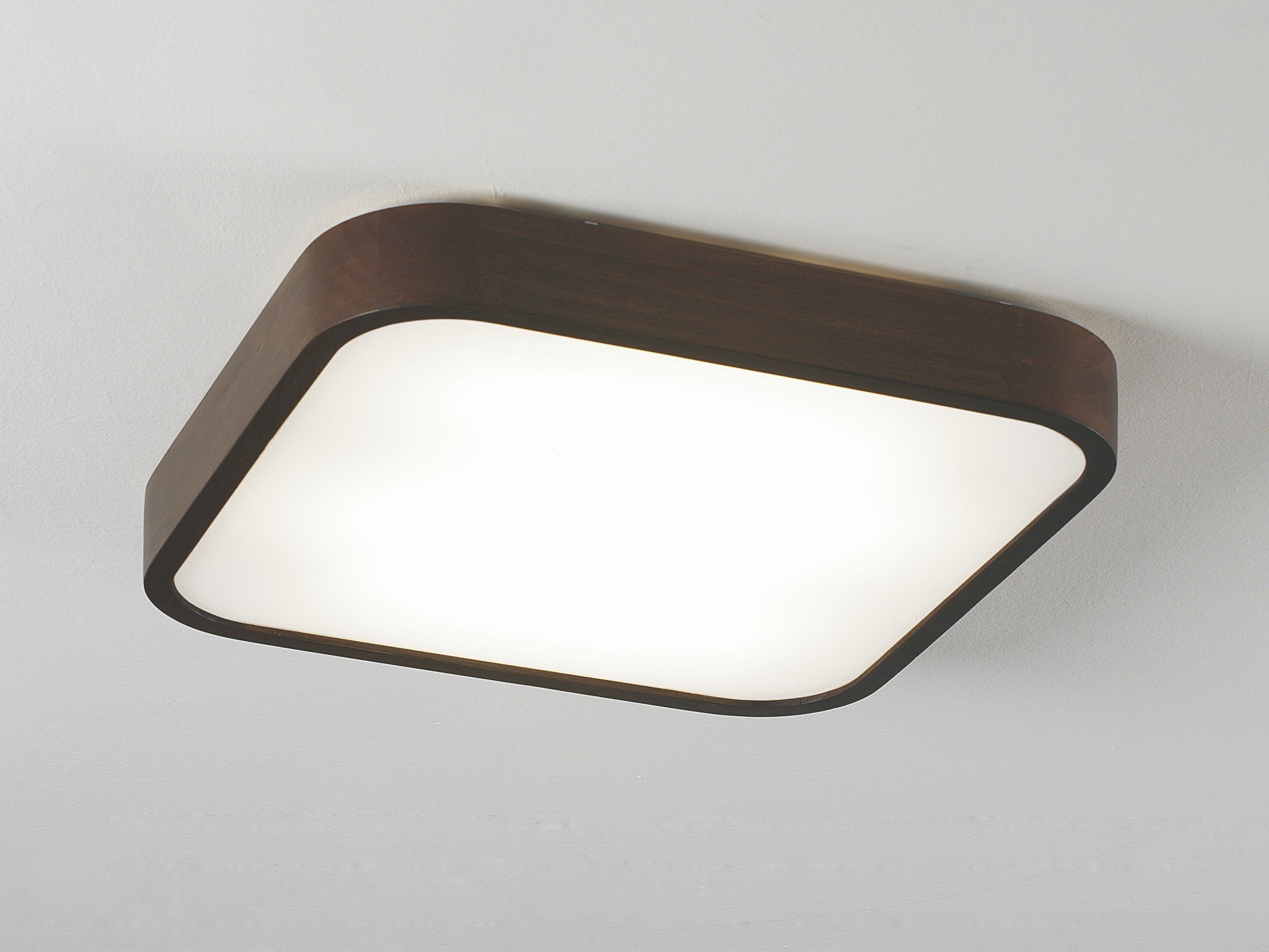 NATURE | Ceiling lamp Nature Collection By Ole! Lighting