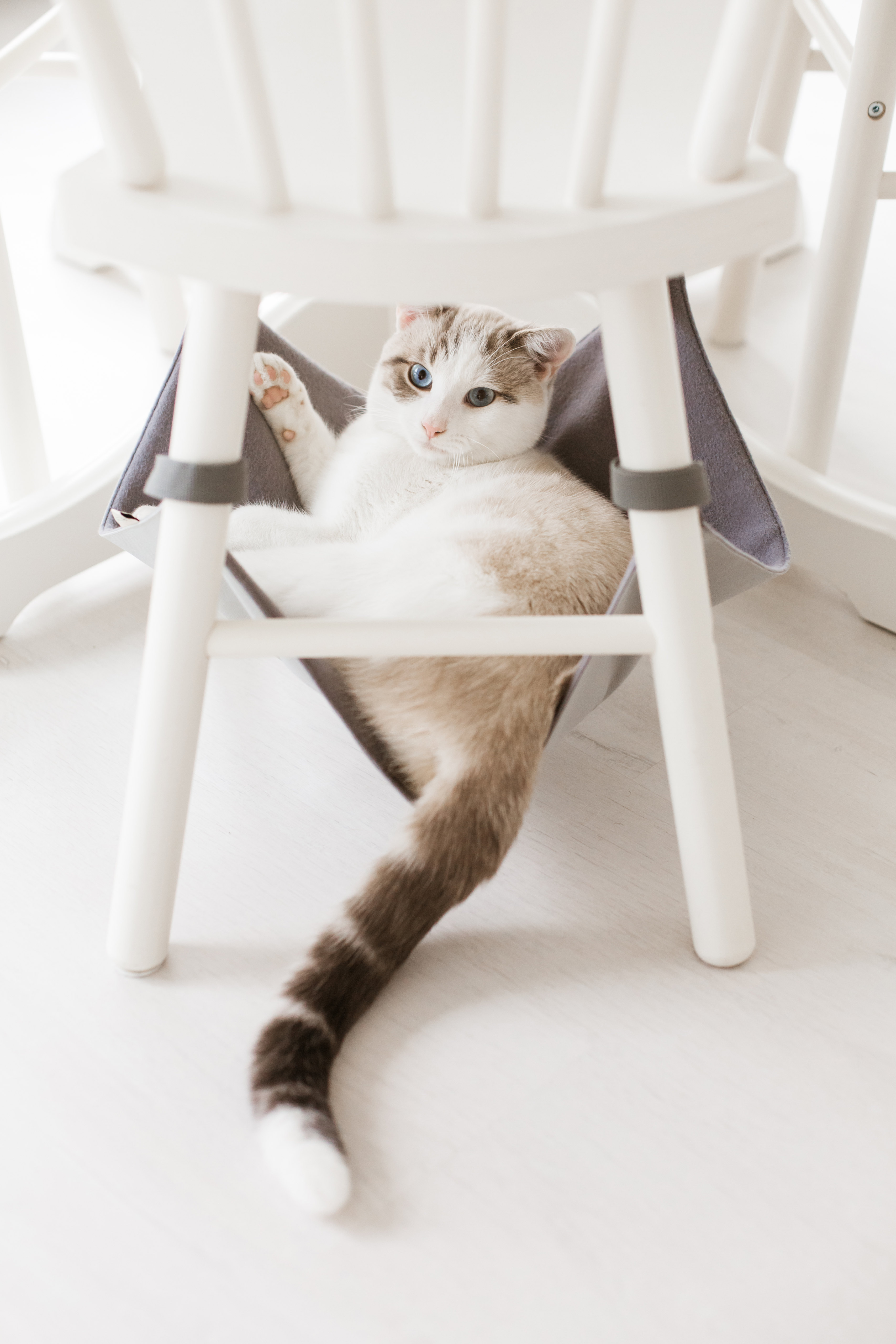 CHAIR HANGING MATS | Synthetic fibre cats hammock By Saveplace®