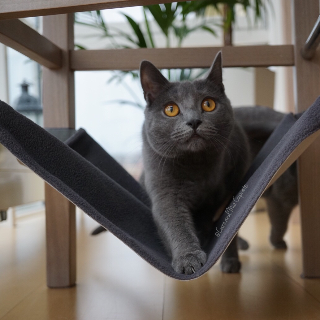 CHAIR HANGING MATS | Synthetic fibre cats hammock By Saveplace®