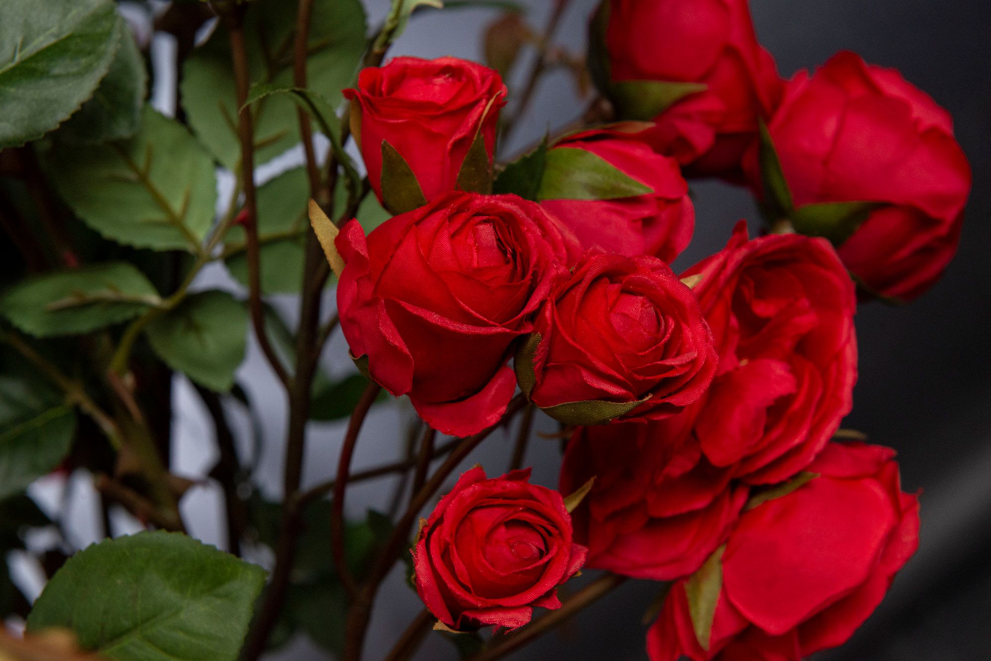 CYLINDER RED ROSES BUSH 花瓶 / 人工植物 By VGnewtrend