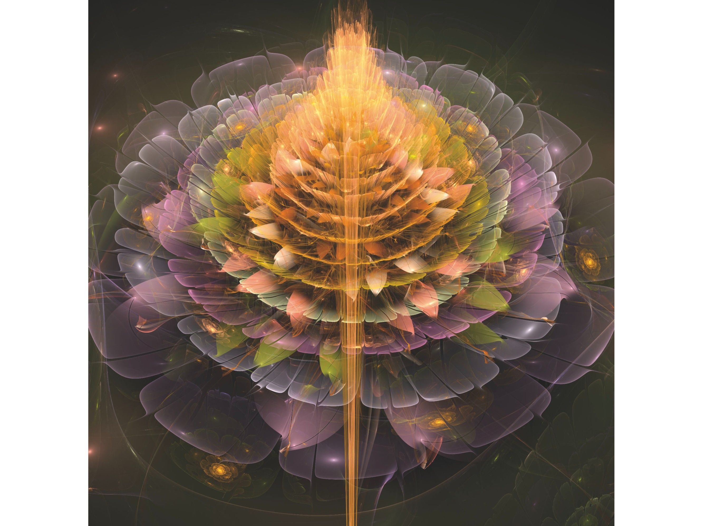 FRACTAL FLOWER Print on paper By ARTDESIGNBOX | design Lucio Casaroli