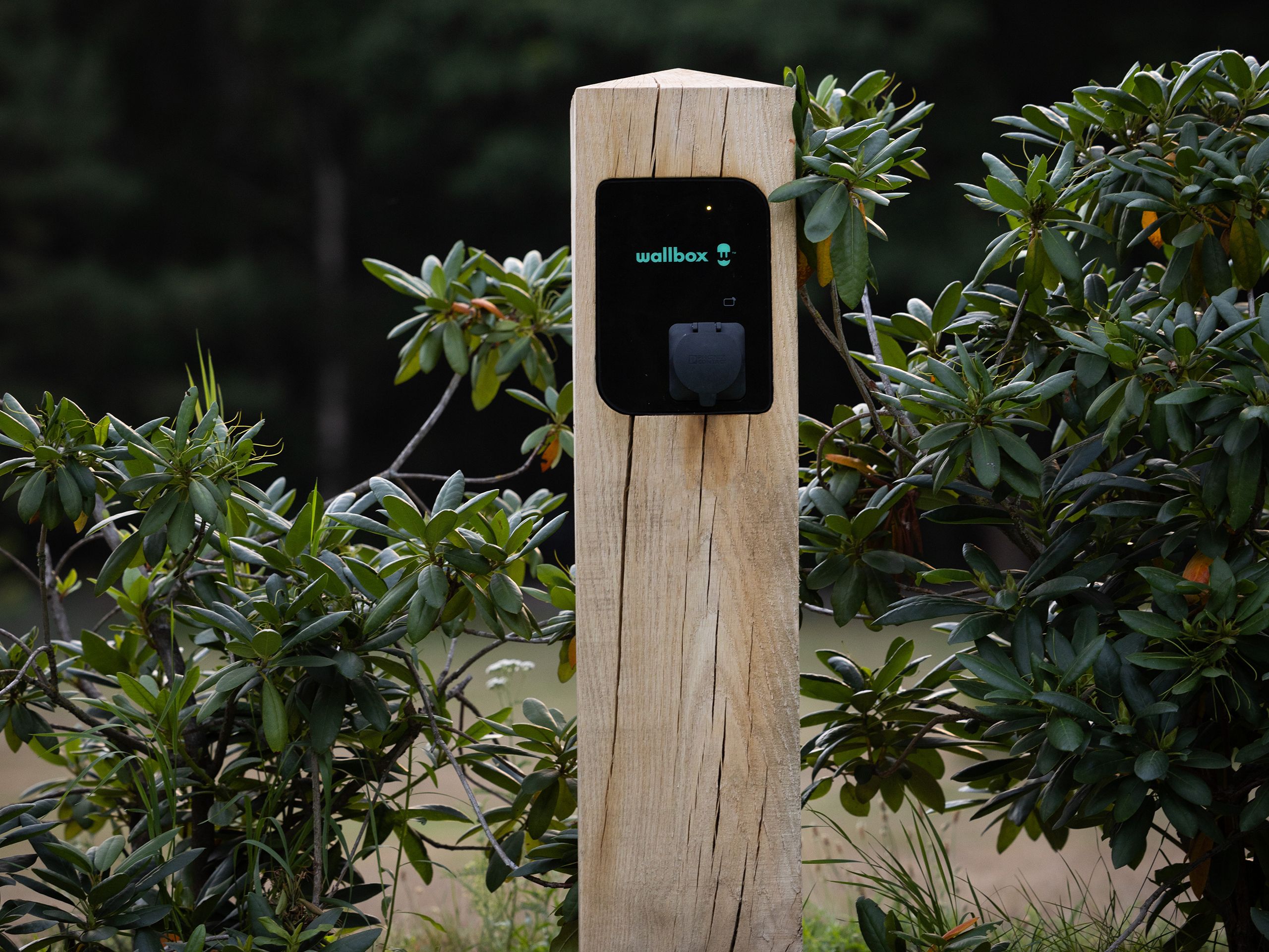 FUTURO - WALLBOX Power distribution unit By Timberlab