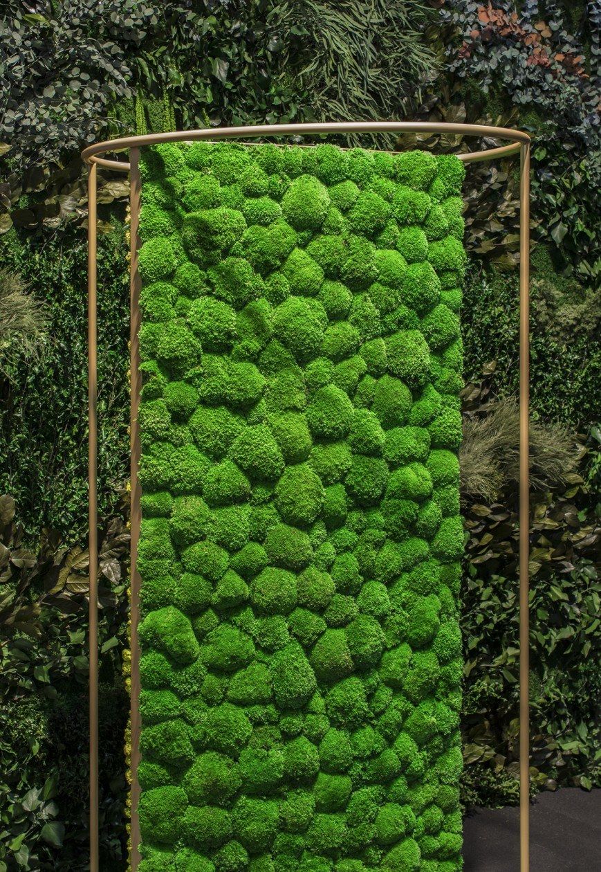 Muro vegetal de plantas estabilizadas G-DIVIDER Colección G-Line By ...