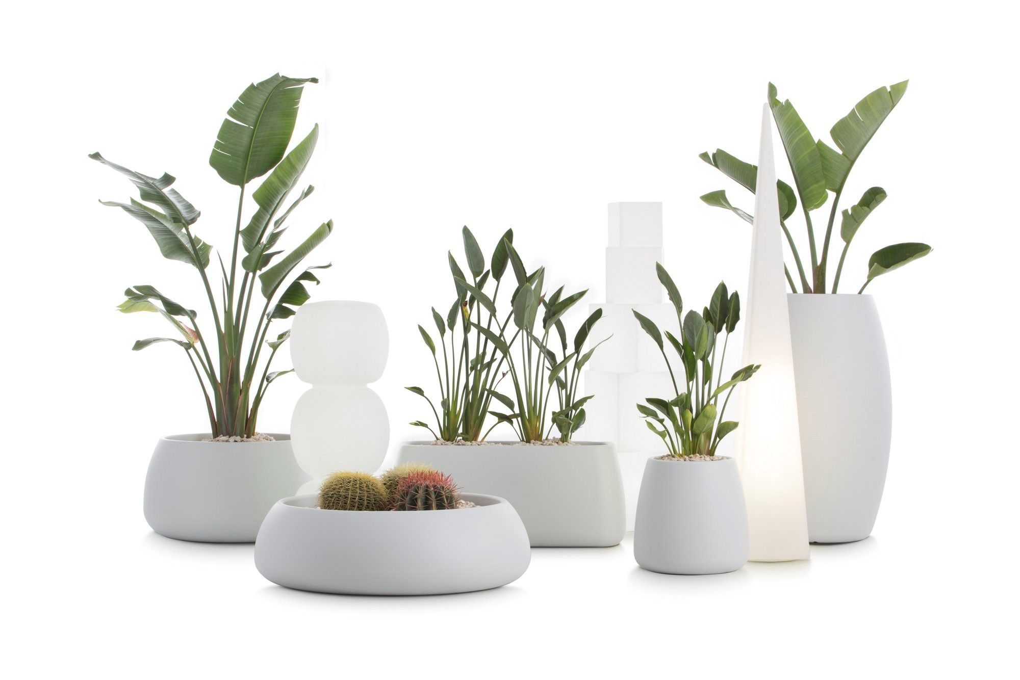 GOBI 4 | Planter Low round planter By Diabla | design Pablo Gironés