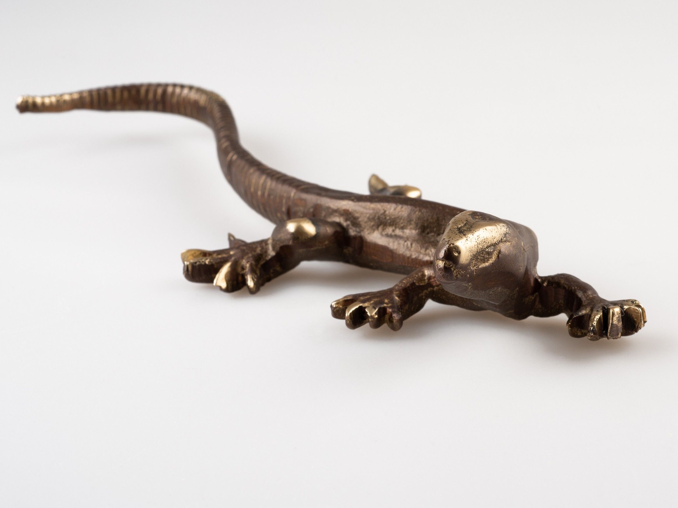 LIZARD HE furniture knob By Thea