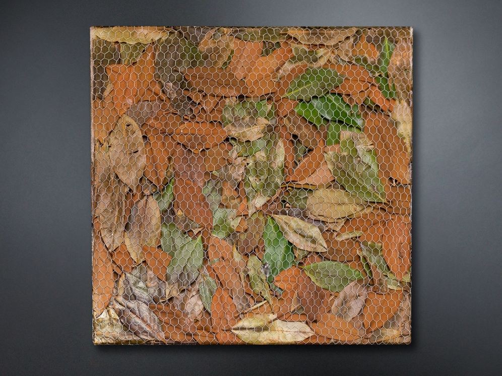MAGNOLIA Vegetal frame By VGnewtrend