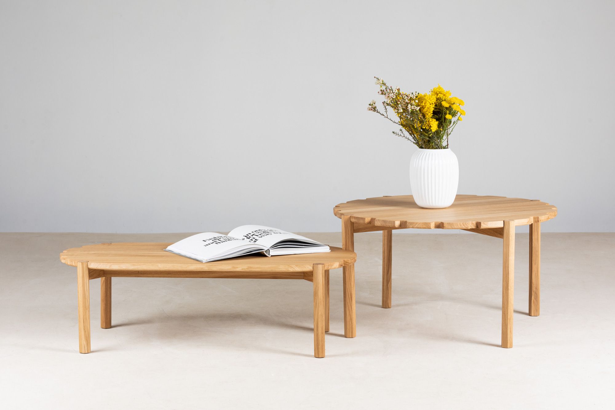 PINION | Oval coffee table Oval oak coffee table By EMKO