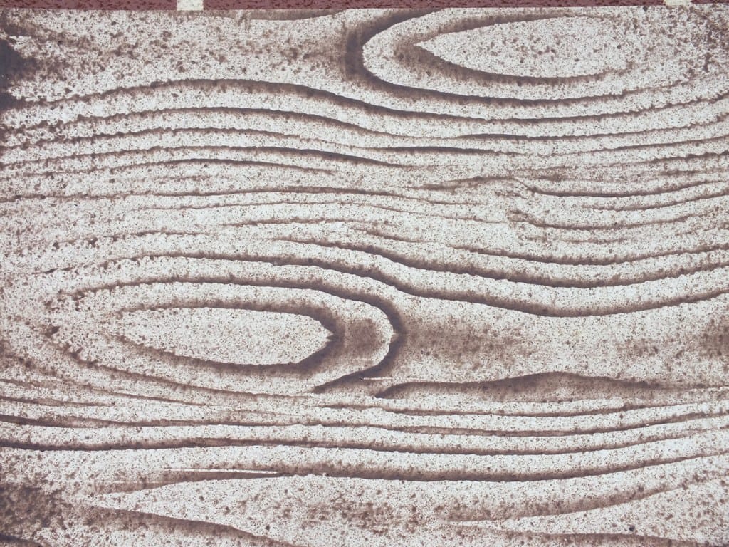 Ecological varnish and paint for sustainable building DIATHONITE CORK ...