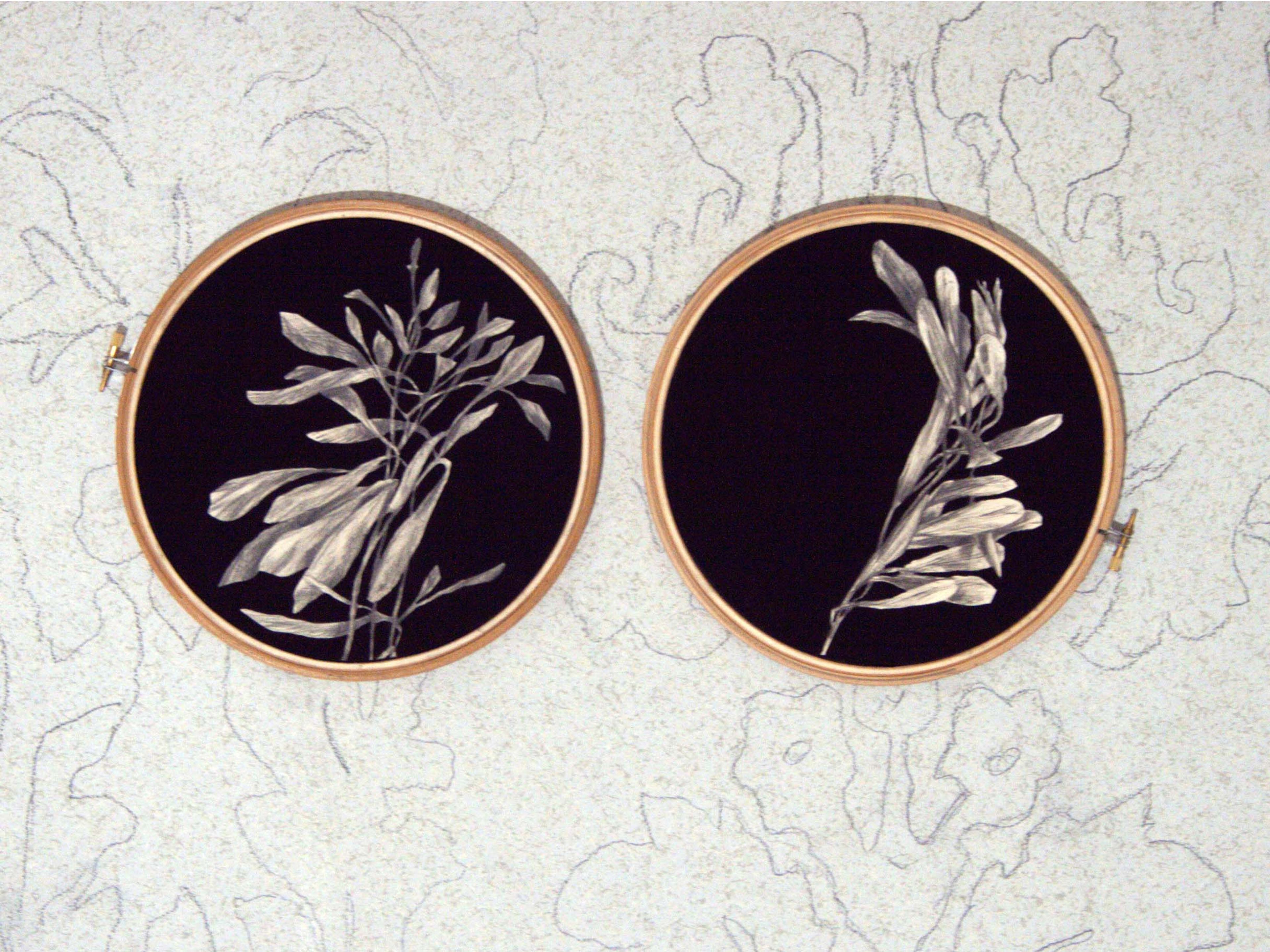 PROFESSOR OPERA Print on paper By ARTDESIGNBOX