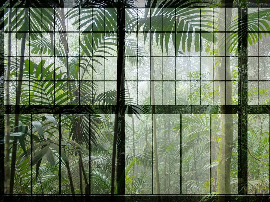 RAINFOREST Wallpaper By Architects Paper