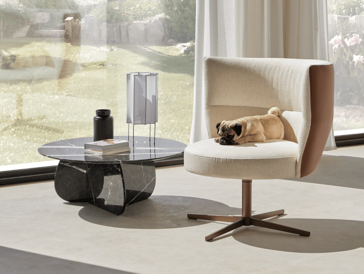 SENA Easy chair By Punt | design Christophe Pillet