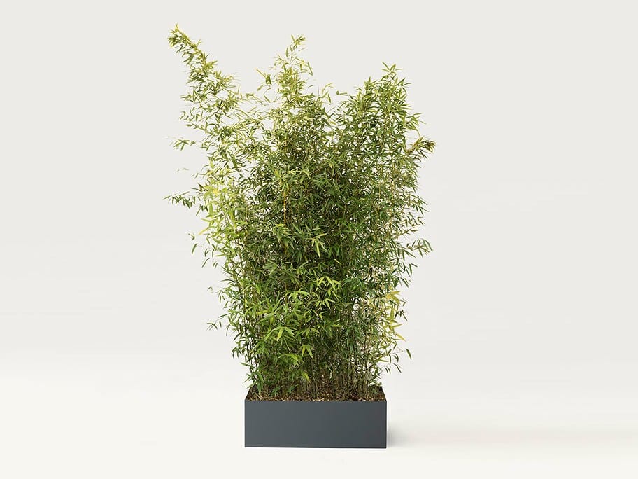 Stainless steel plant pot SHIELD By Paola Lenti design Bestetti ...