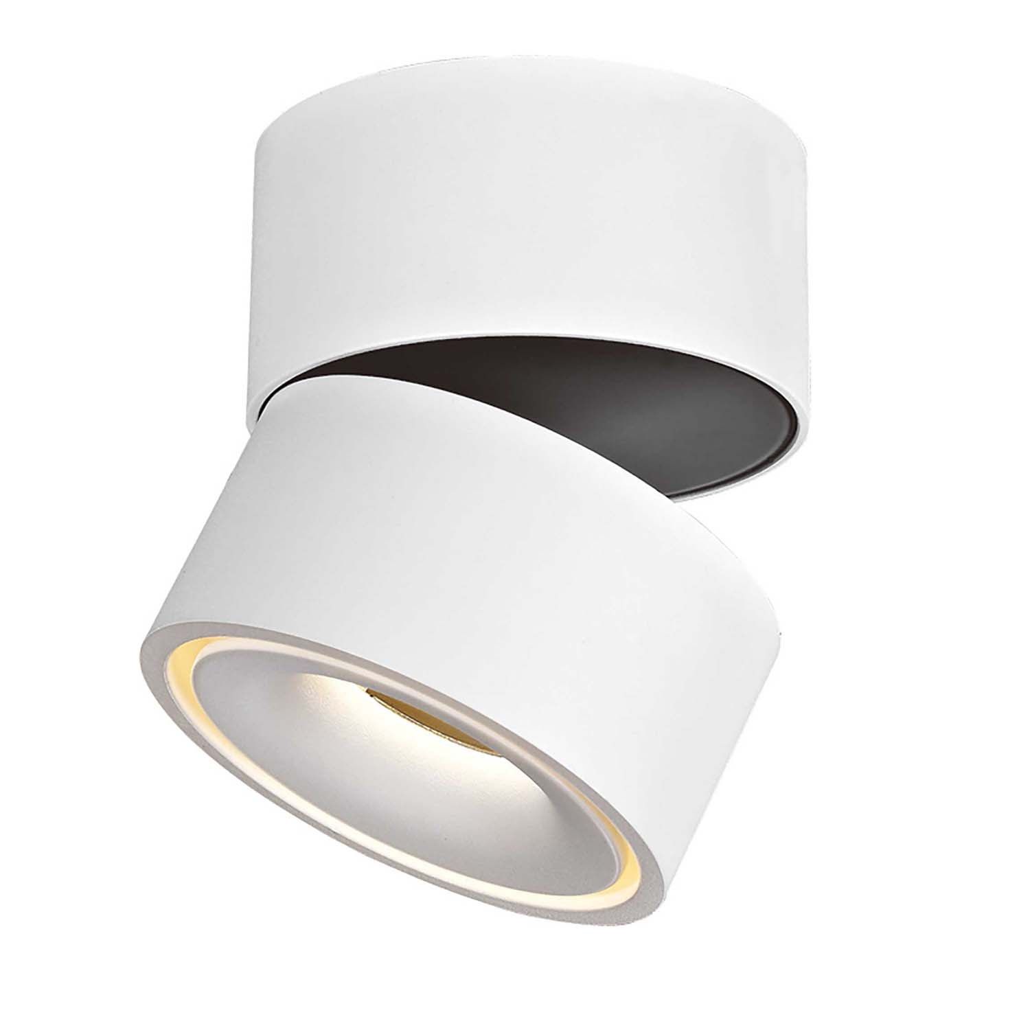 TILT Spotlight By PROLED