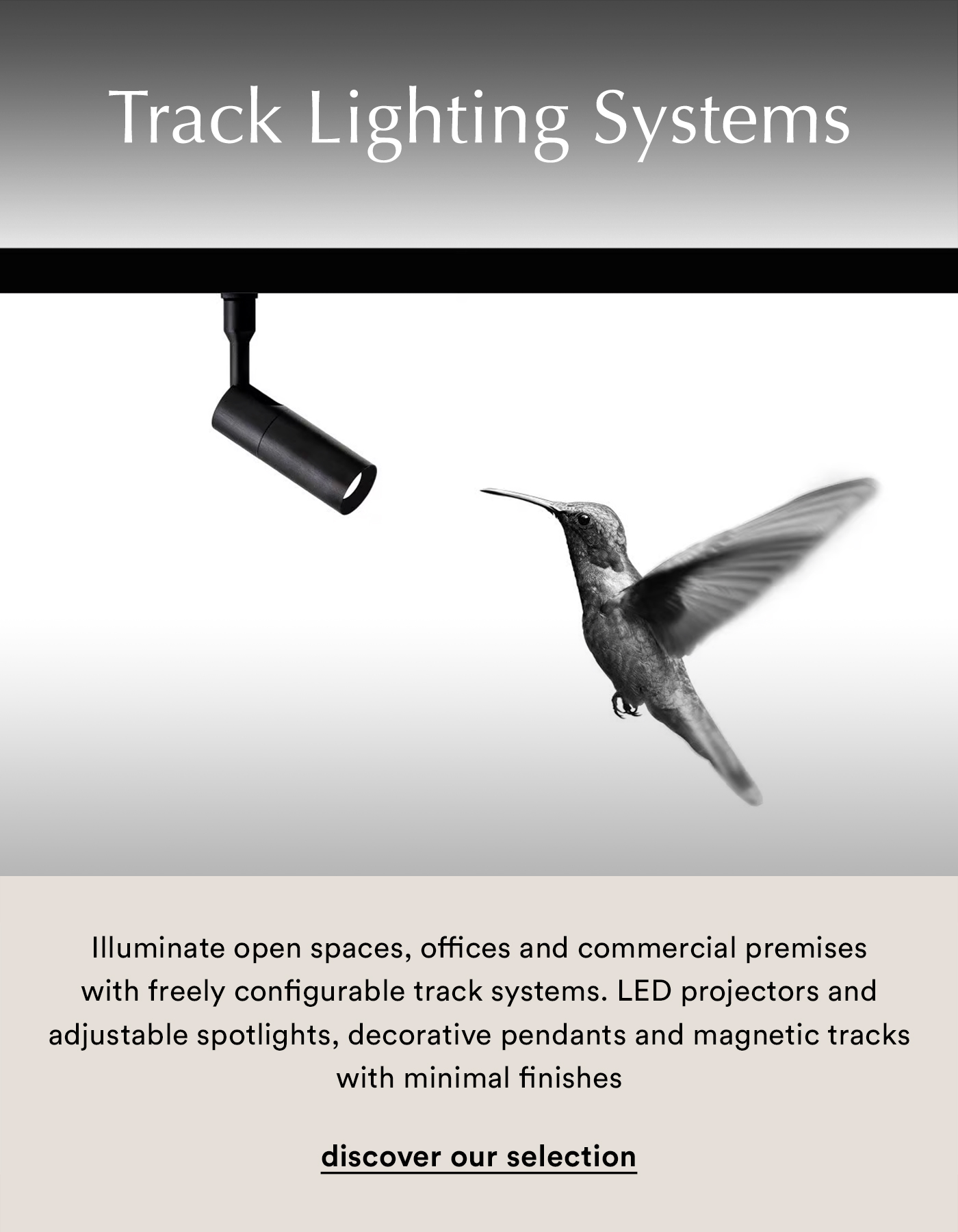 Track Lighting Systems